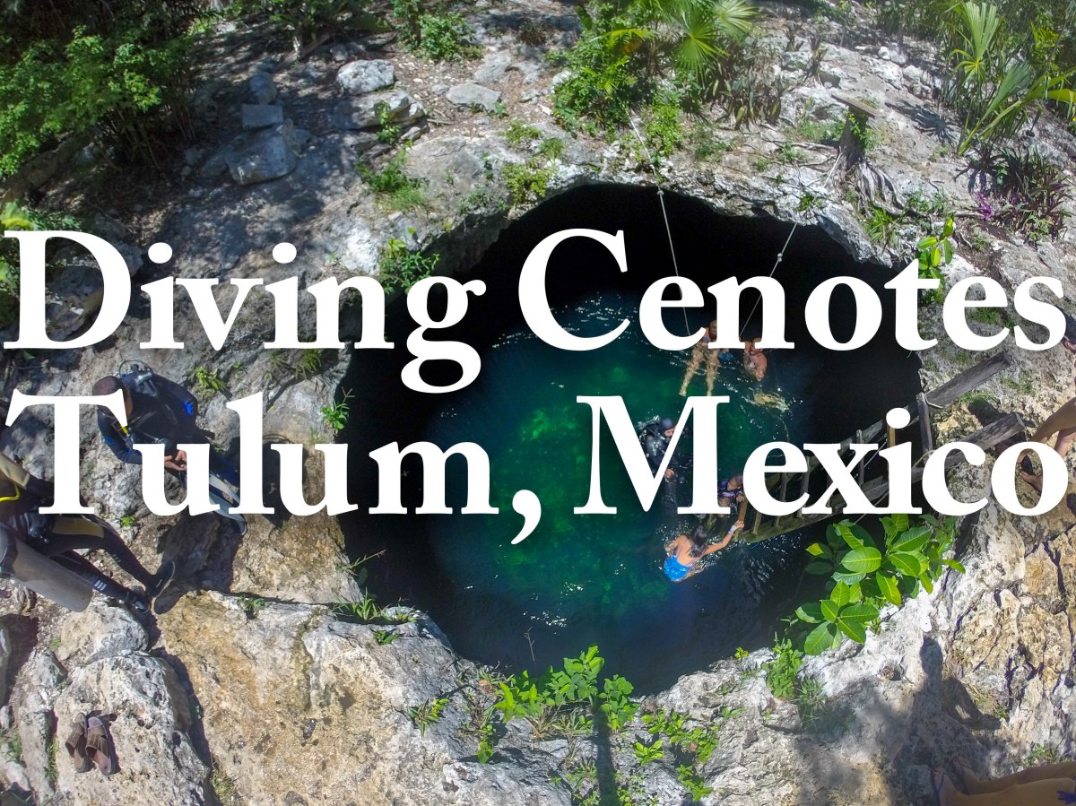 Diving Cenotes (Caves) In Tulum, Mexico – Groissl's Photography